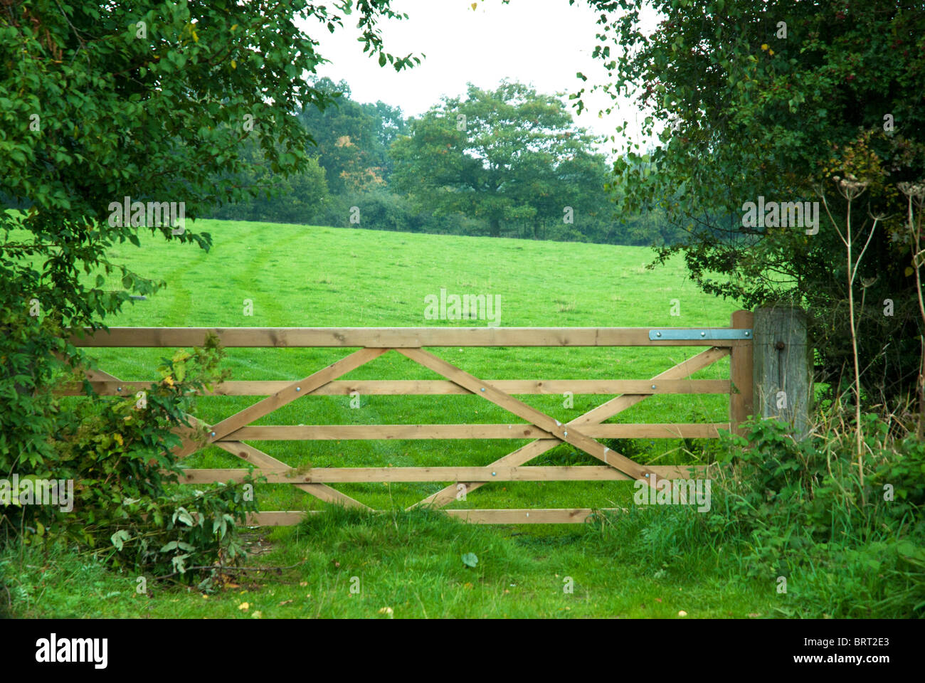 Gate gates hi-res stock photography and images - Alamy