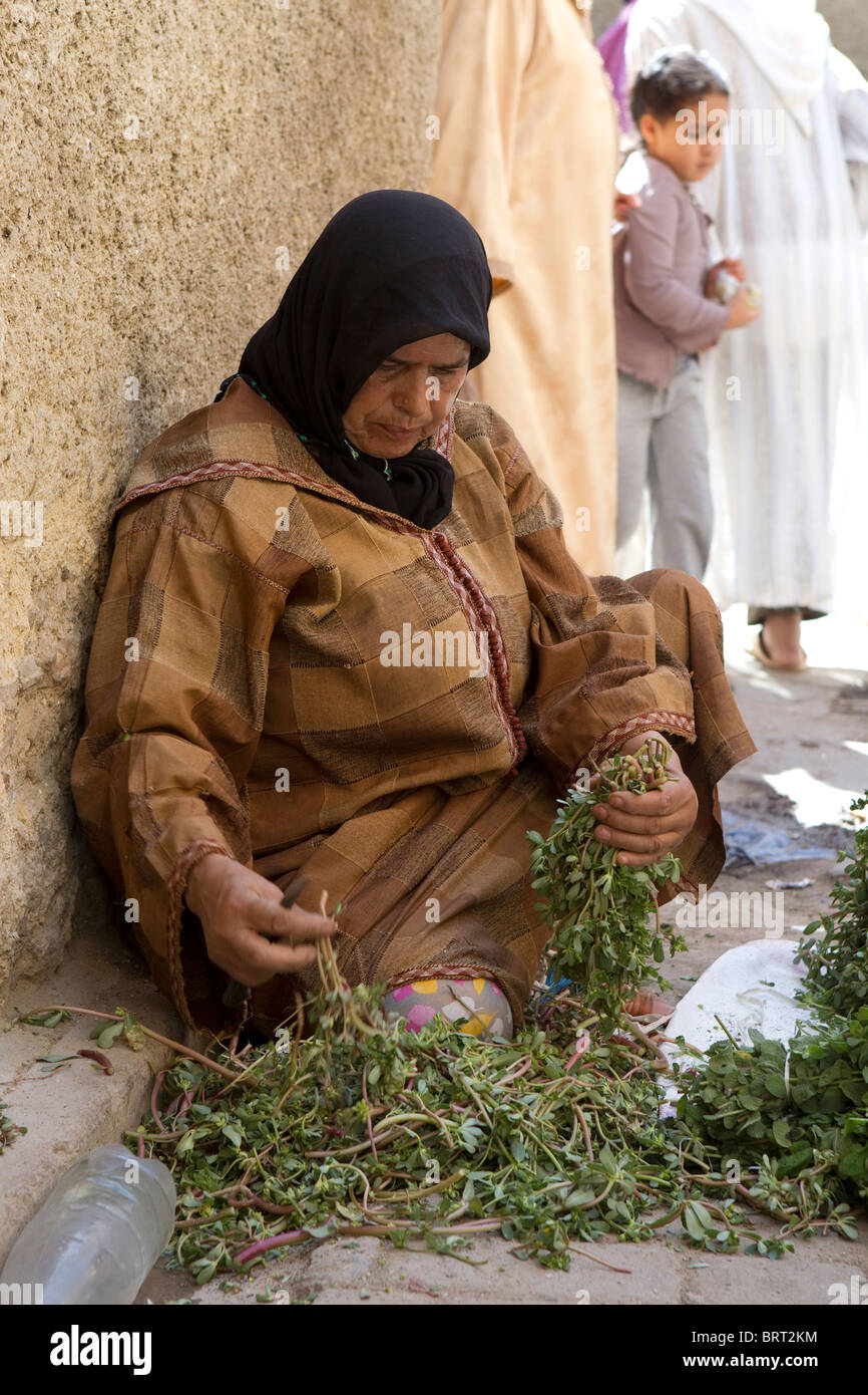 moslem woman sorting herbs;Fez Medina;Morocco Stock Photo - Alamy