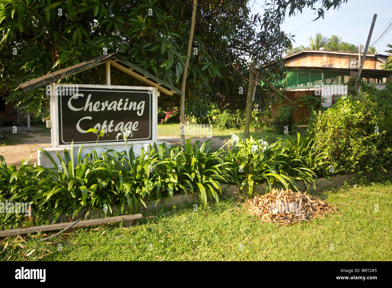 Cherating Beach, Pahang, malaysia Stock Photo - Alamy
