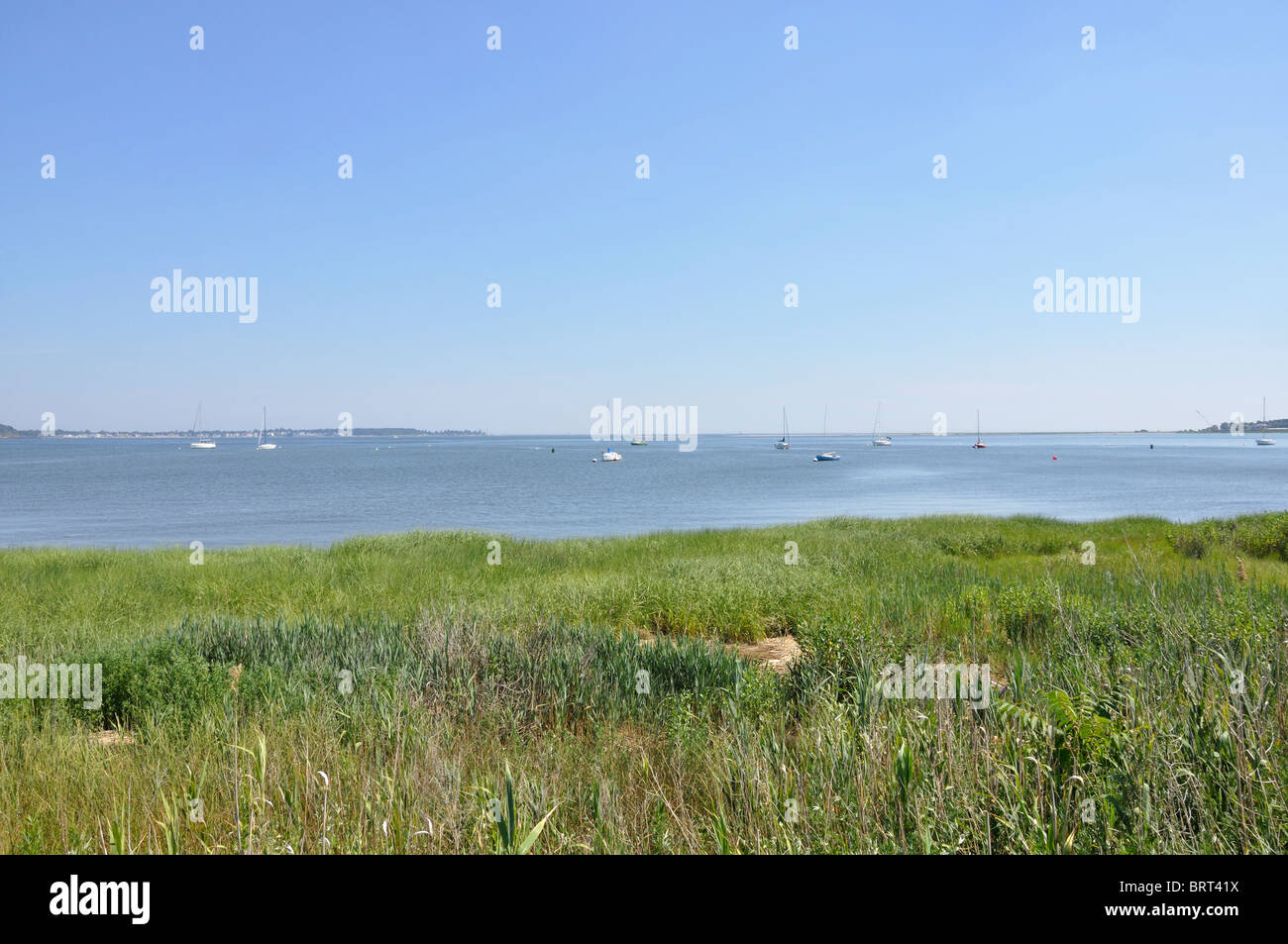Long wharf new haven hi-res stock photography and images - Alamy