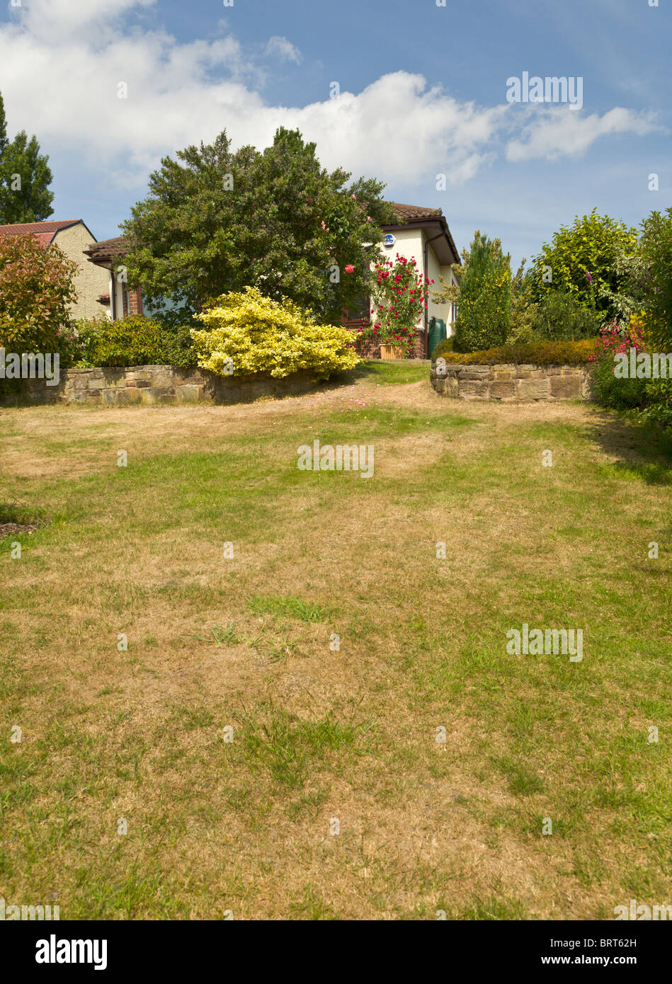Parched lawn through lack of rain, England Stock Photo - Alamy