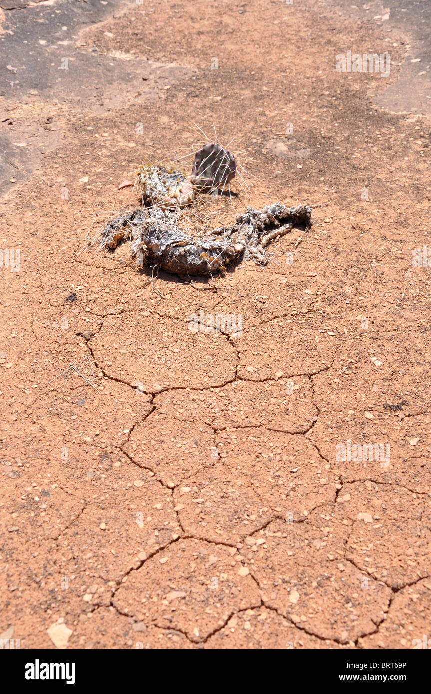 Utah pollution hi-res stock photography and images - Alamy