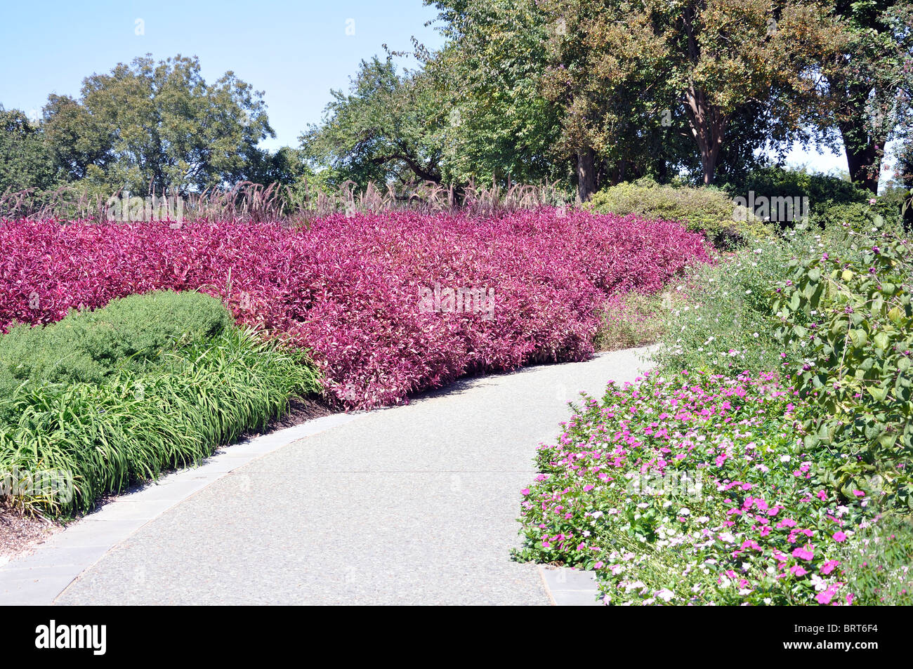 Dallas Arboretum, Texas, USA Stock Photo - Alamy