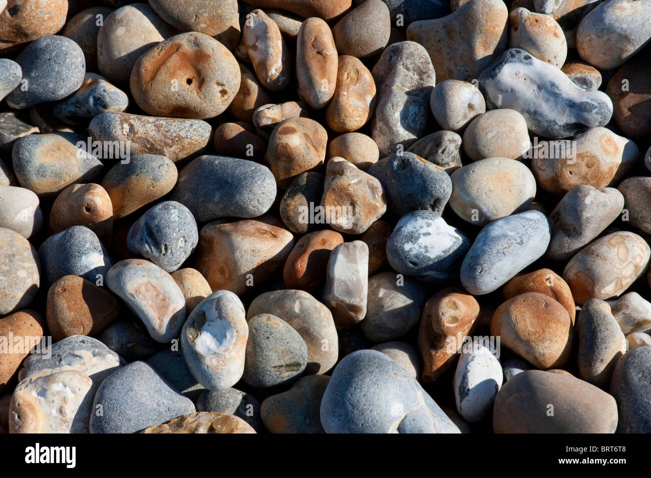 Pebbles on beach Stock Photo - Alamy