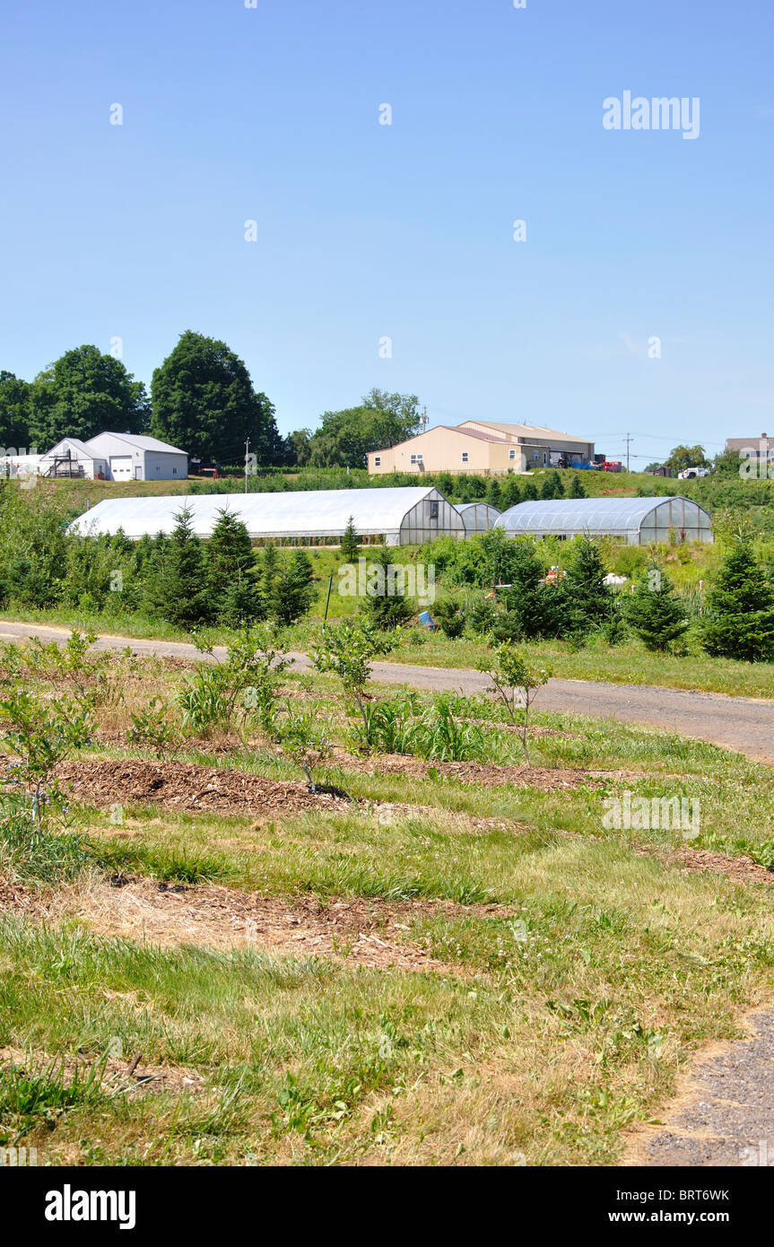 New England farm, Connecticut, USA Stock Photo - Alamy