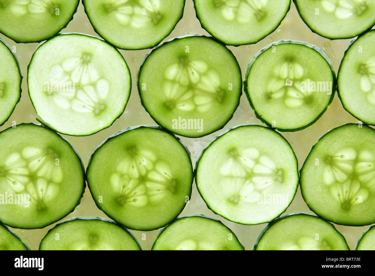 Many circles of fresh cucumber for background Stock Photo - Alamy