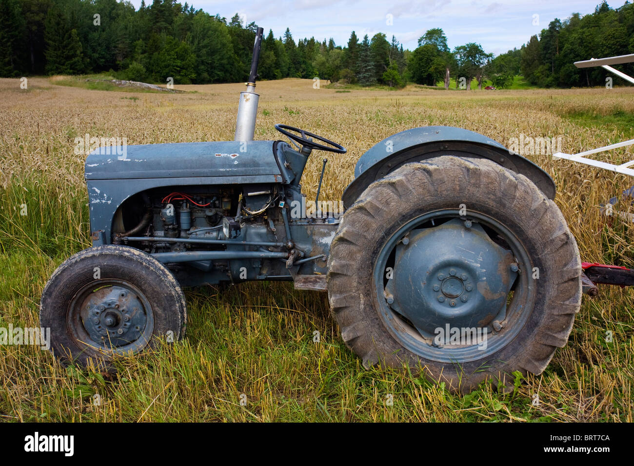 Ferguson tractor harvesting Stock Photo - Alamy