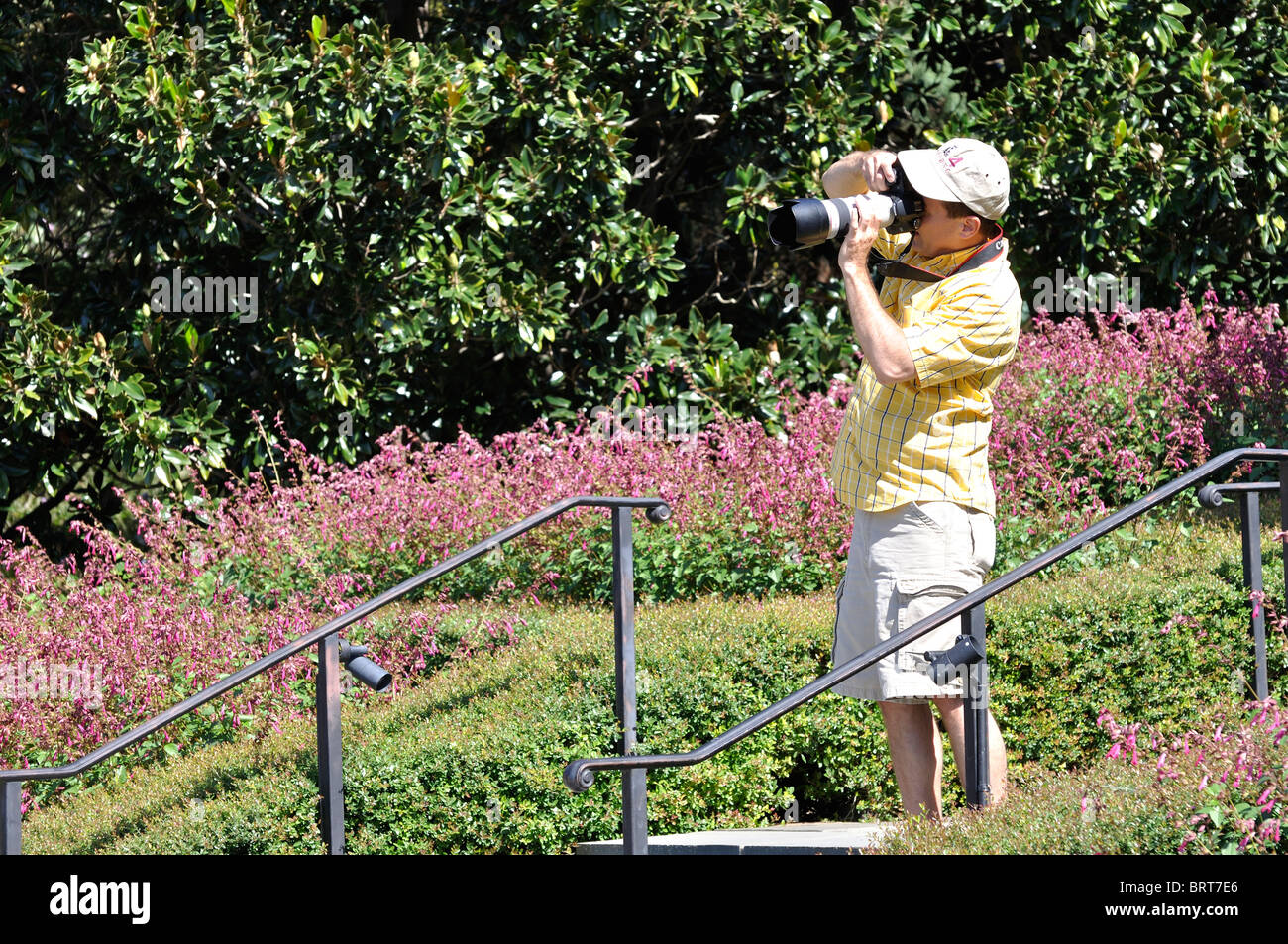 Photographer in park Stock Photo - Alamy