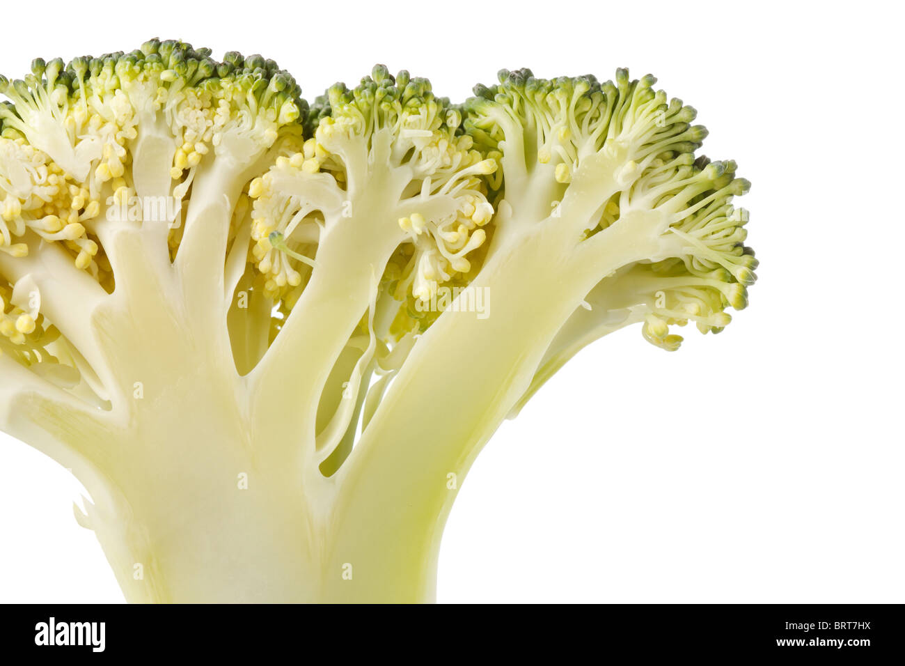 Fresh Raw Green Broccoli Stock Photo - Alamy