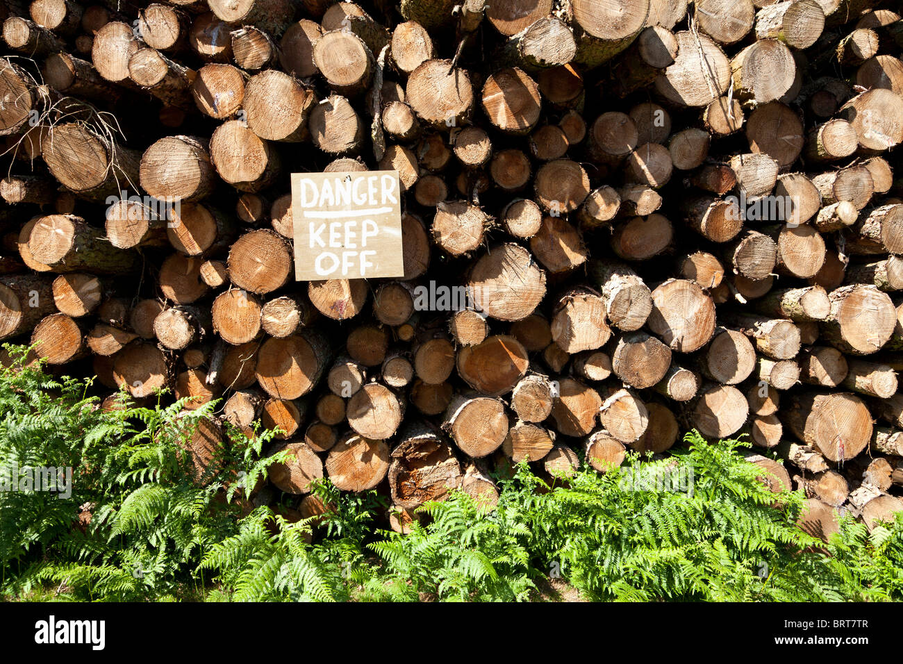 Wildlife log pile hi-res stock photography and images - Alamy