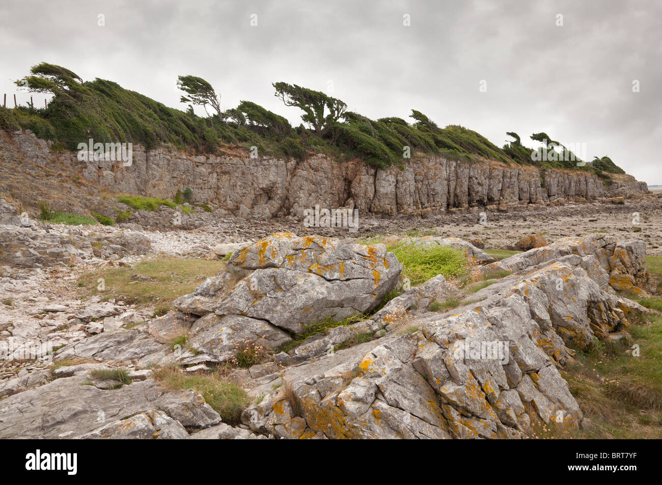Coastline at Jenny Brown's point, Silverdale in Lancashire Stock Photo ...
