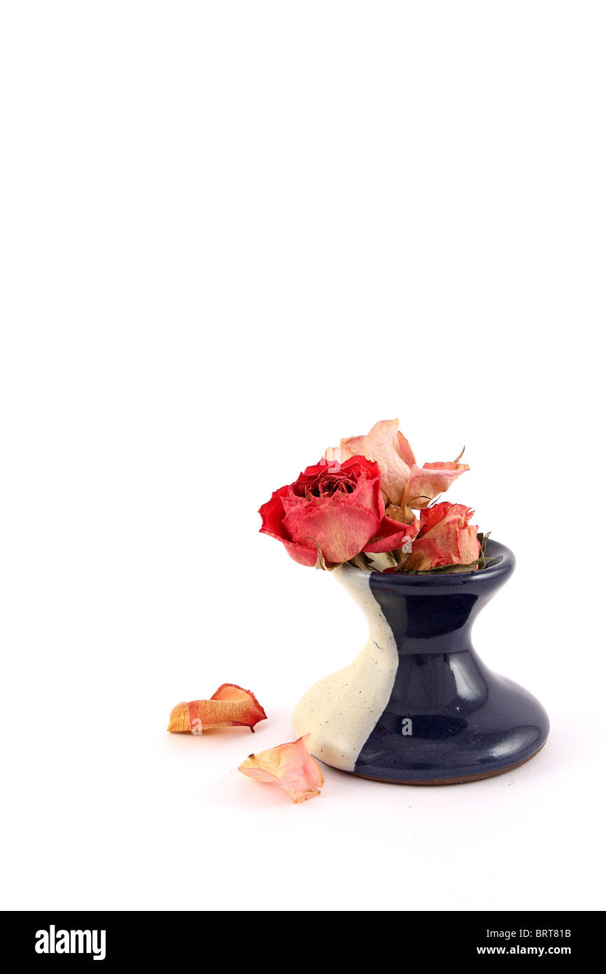 Still life of roses in a blue and white vase hi-res stock photography ...