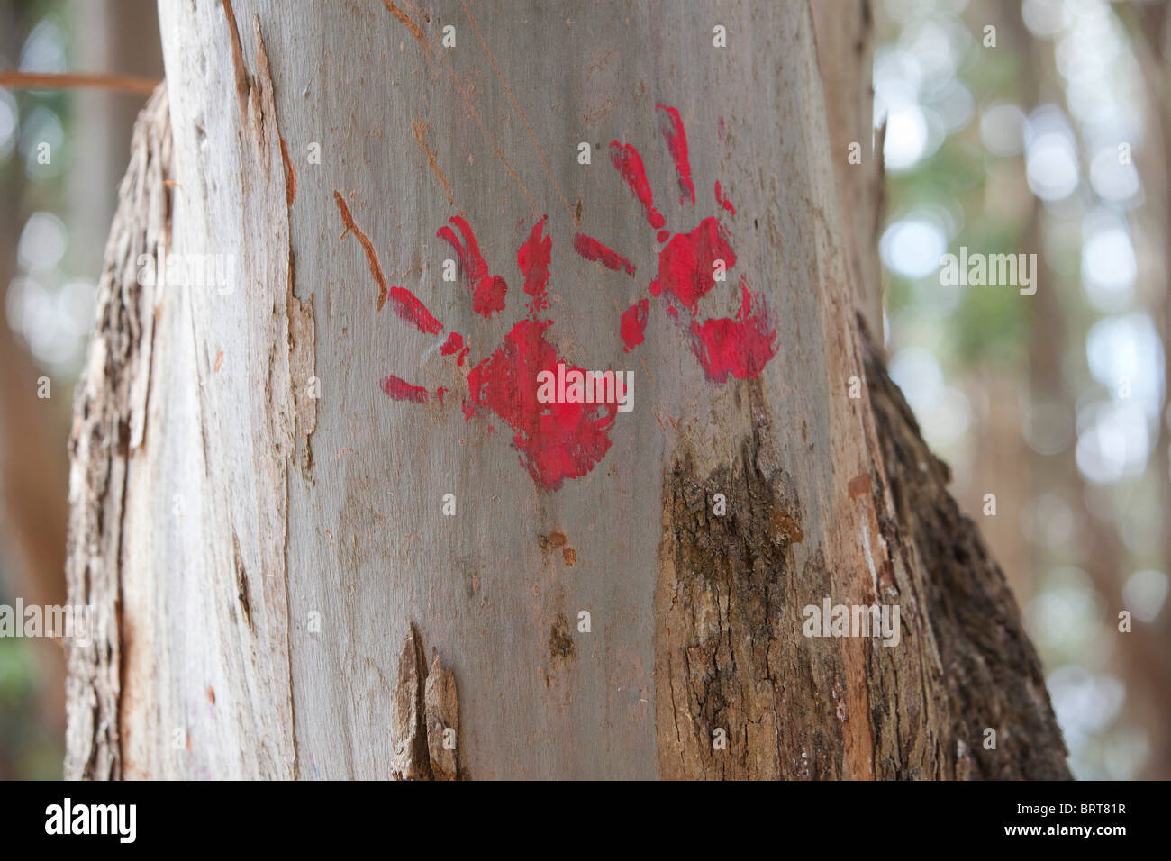 Handprints On Tree High Resolution Stock Photography and Images - Alamy
