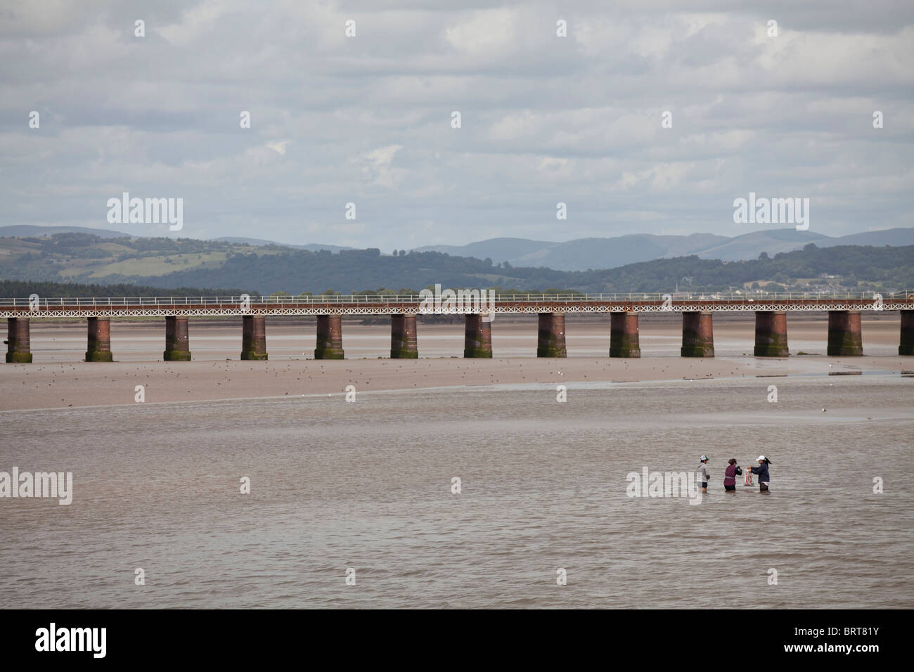 Viaduct Kent Estuary High Resolution Stock Photography and Images - Alamy