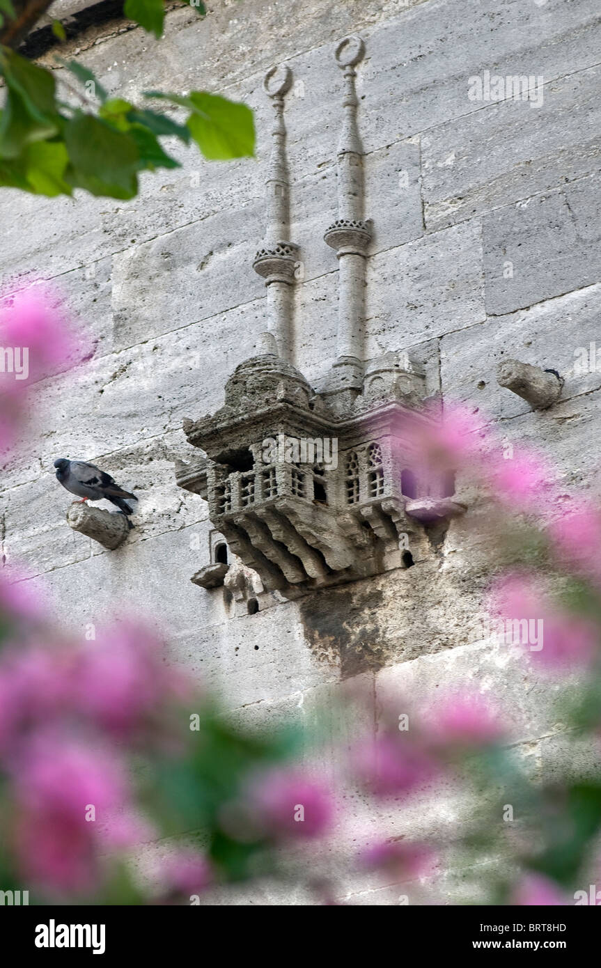 Mosque and bird hi-res stock photography and images - Alamy