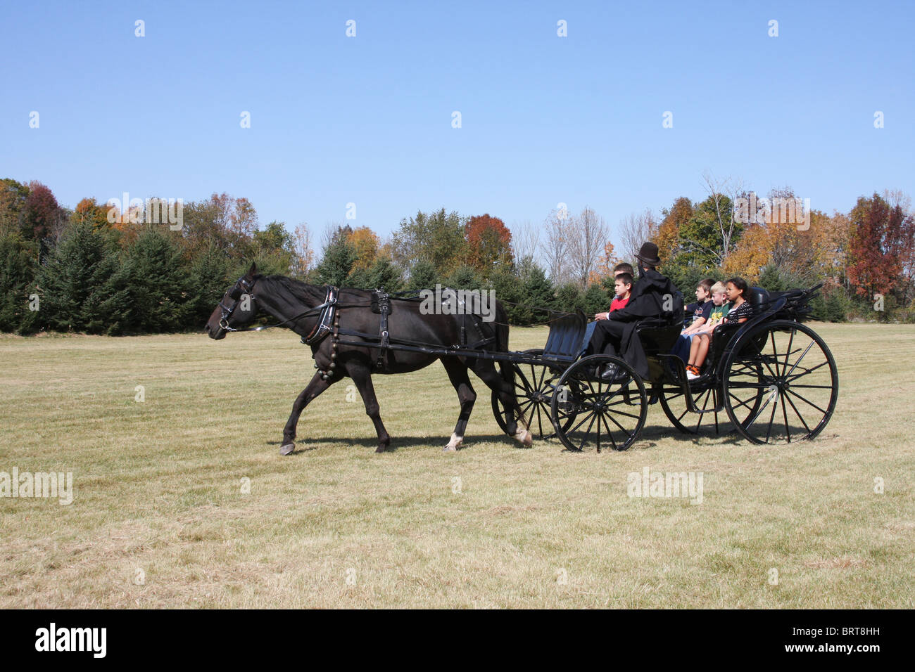 A horse drawn buggy carriage for passengers in fall Stock Photo - Alamy