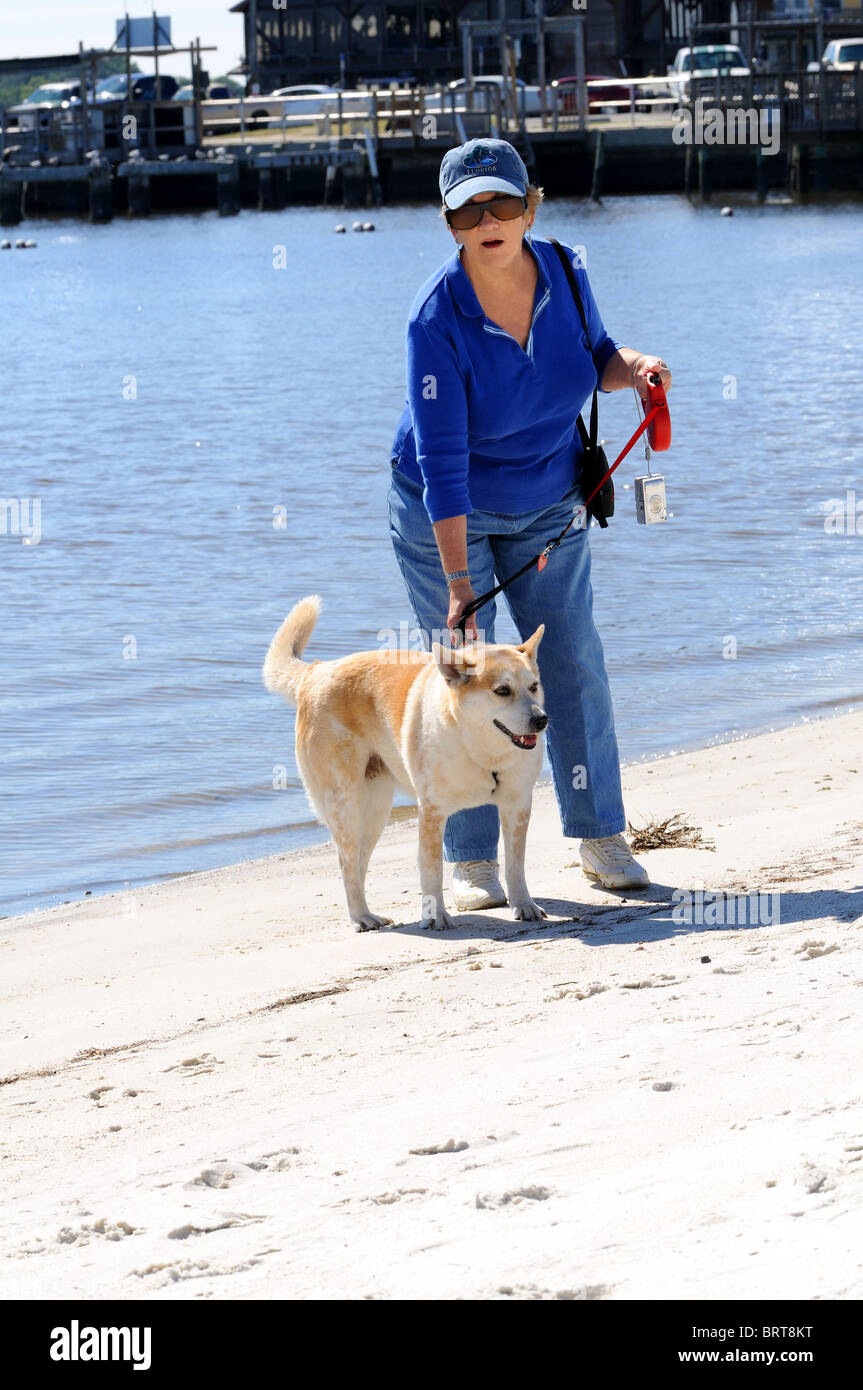 Dog beach key west florida hi-res stock photography and images - Alamy