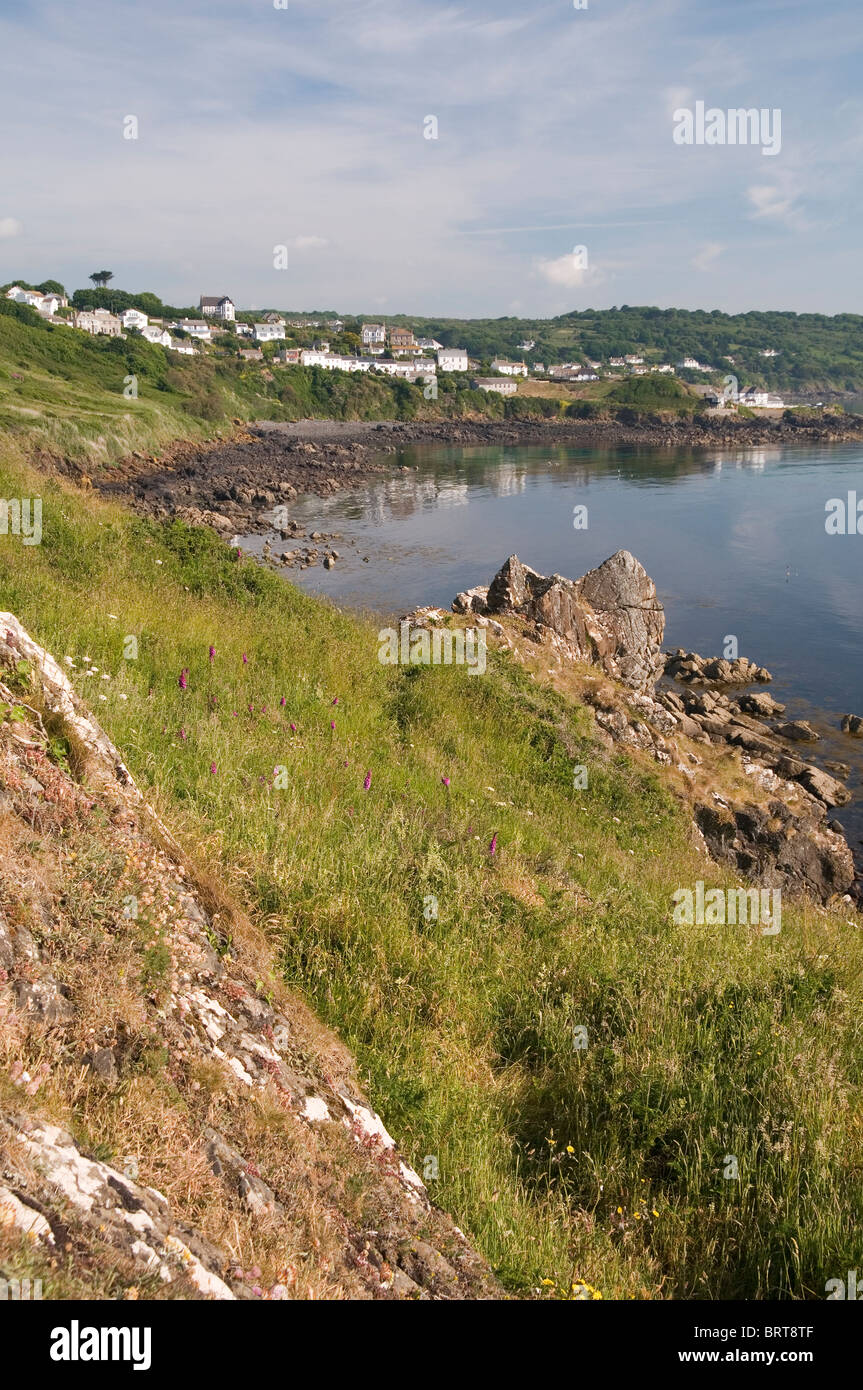 Coverack cornwall hi-res stock photography and images - Alamy