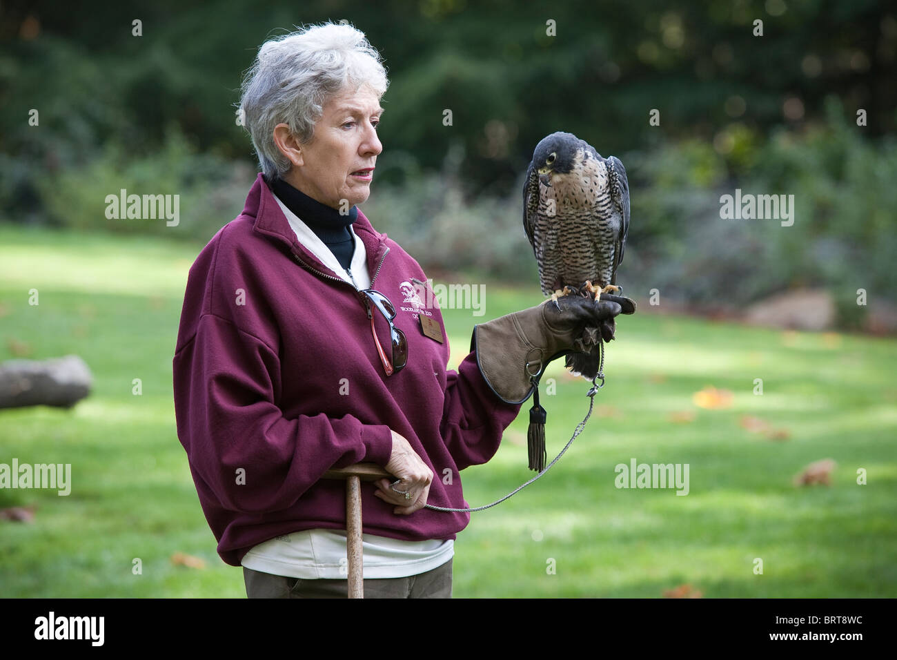 Mature woman zoo hi-res stock photography and images - Alamy