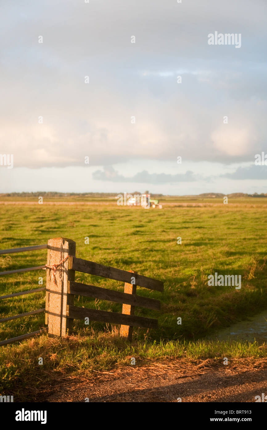 Fence in pastures Stock Photo - Alamy