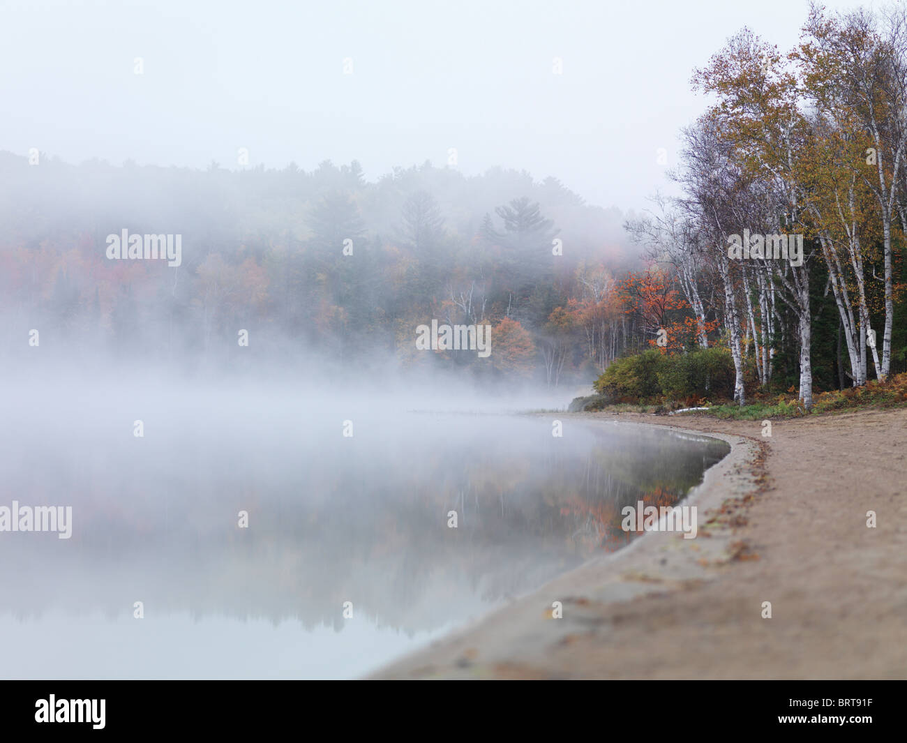 Early morning fall nature scenery of fog on The Arrowhead Lake. Arrowhead provincial park ...