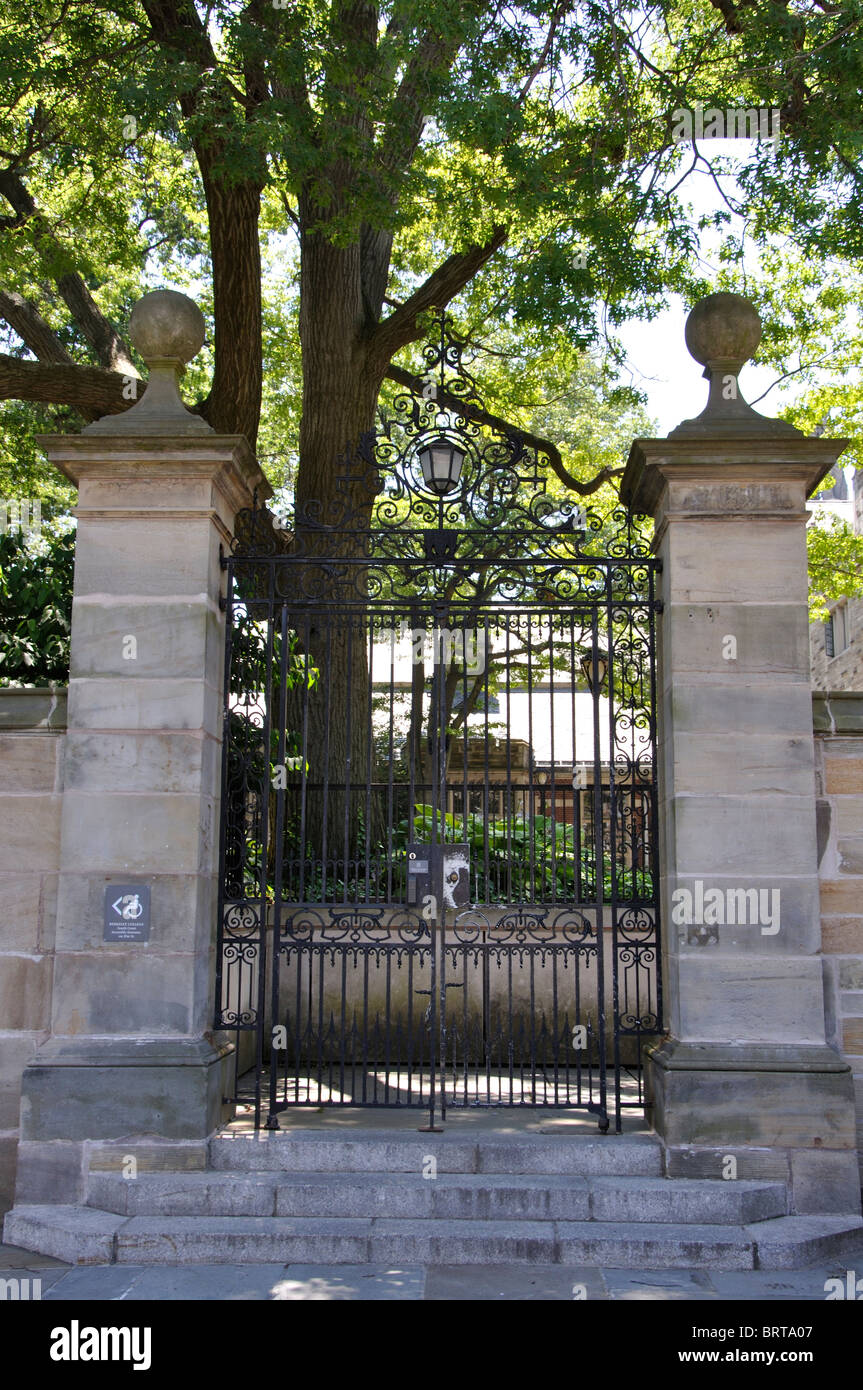 Berkeley College Yale University High Resolution Stock Photography and ...