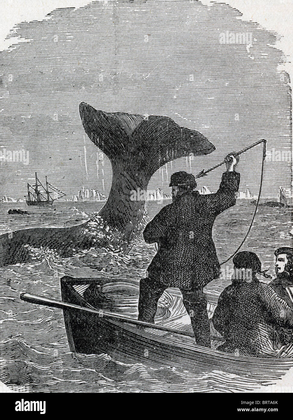 100 year old lithograph of whaling scene Stock Photo - Alamy