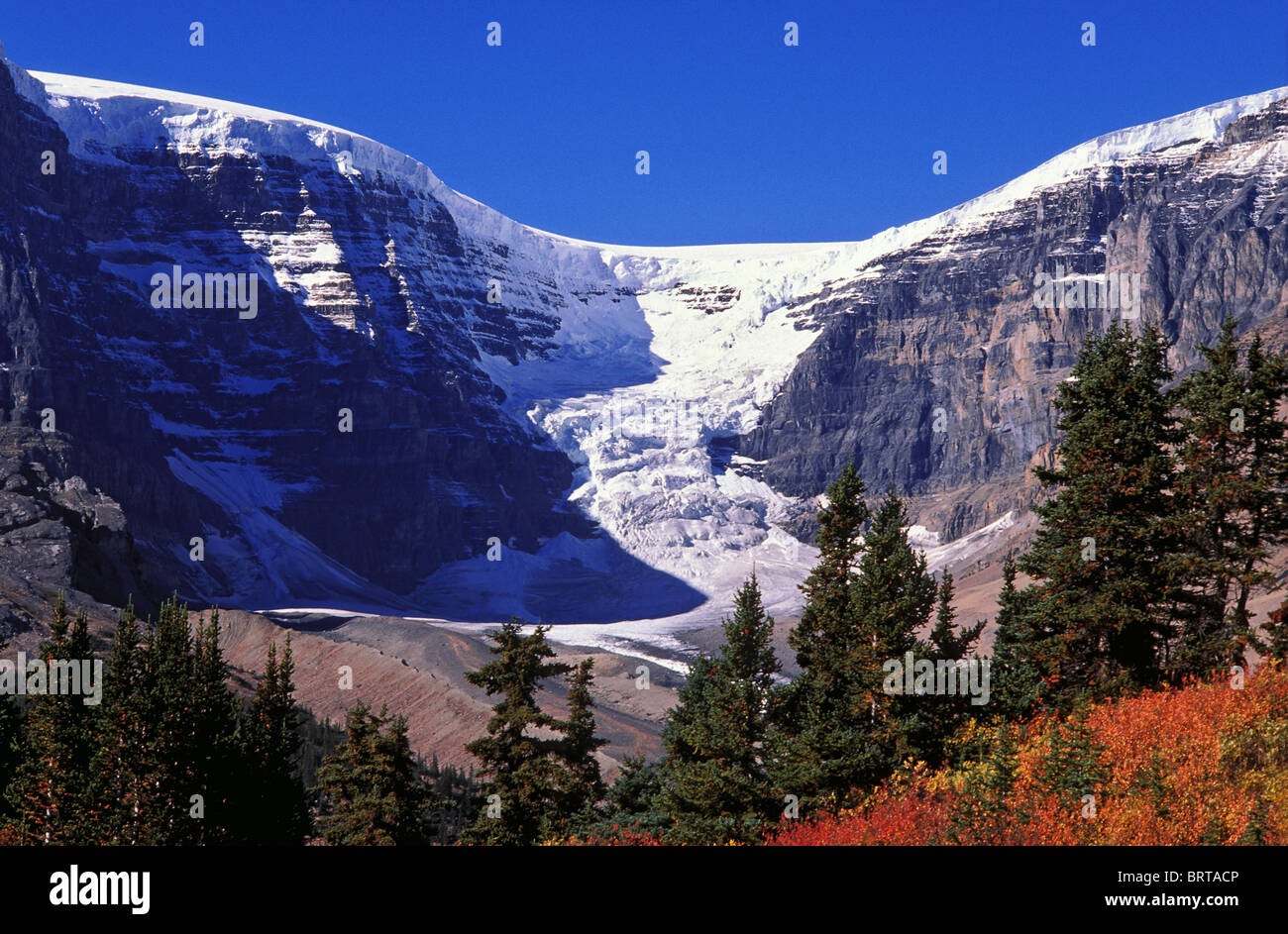 The Dome Glacier from Wilcox Ridge, Columbia Icefields area, Jasper ...