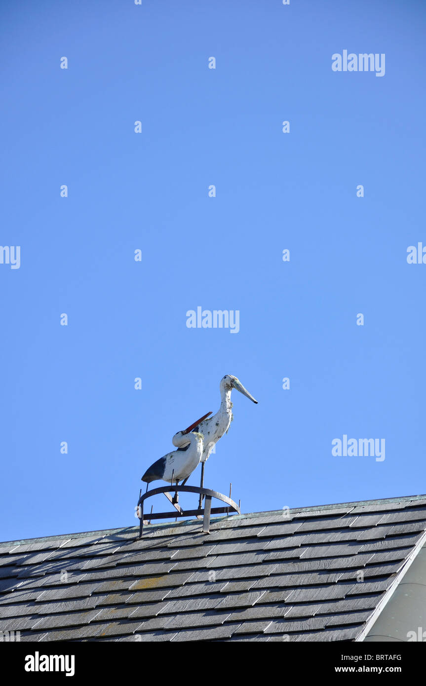 Stork ca hi-res stock photography and images - Alamy