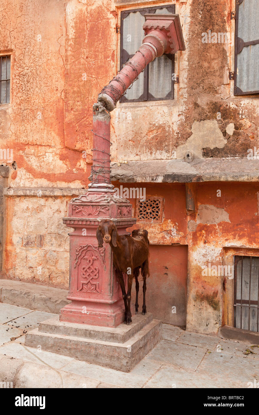 Indian street life Stock Photo - Alamy