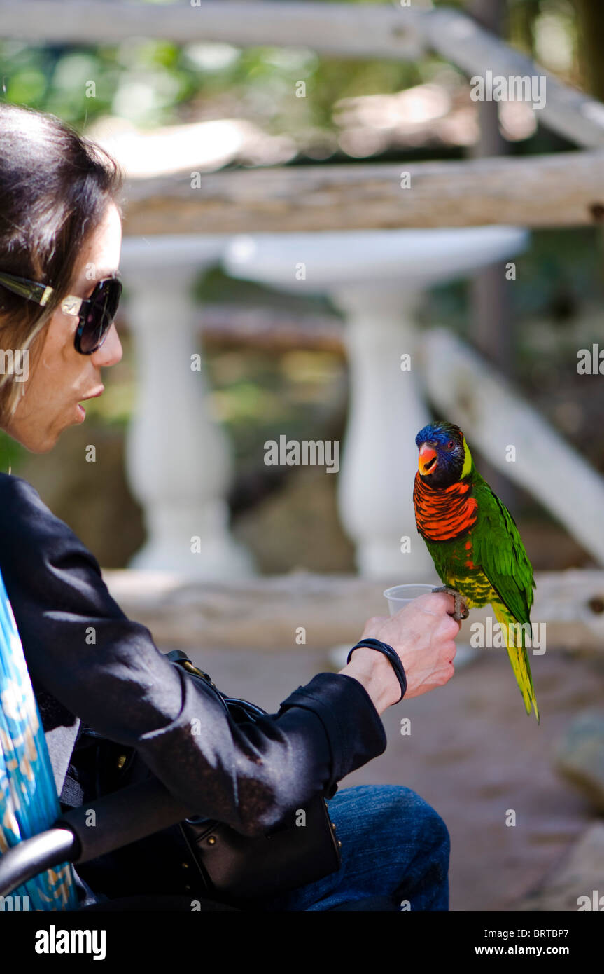 Woman playing with parrot Stock Photo - Alamy