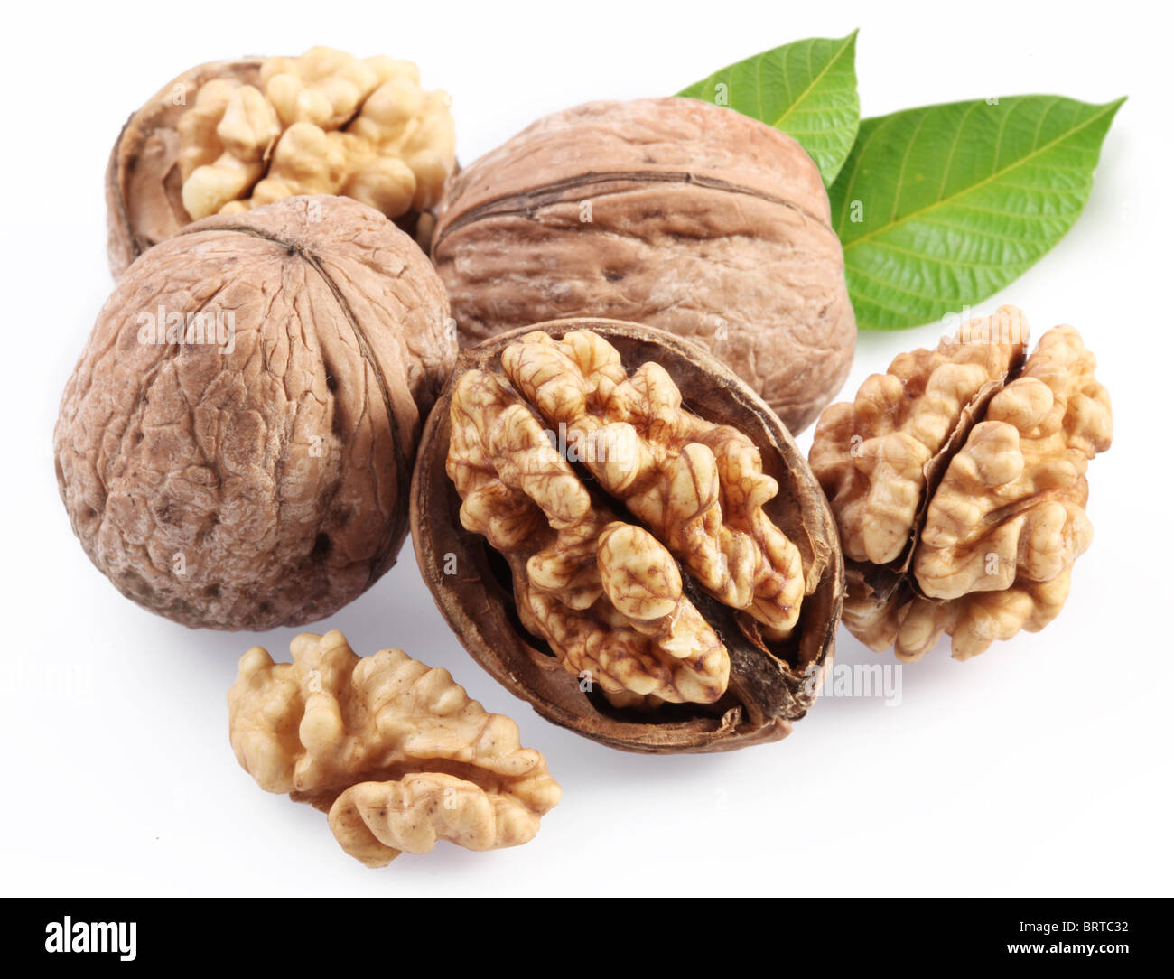 Isolated leaf hi-res stock photography and images - Alamy