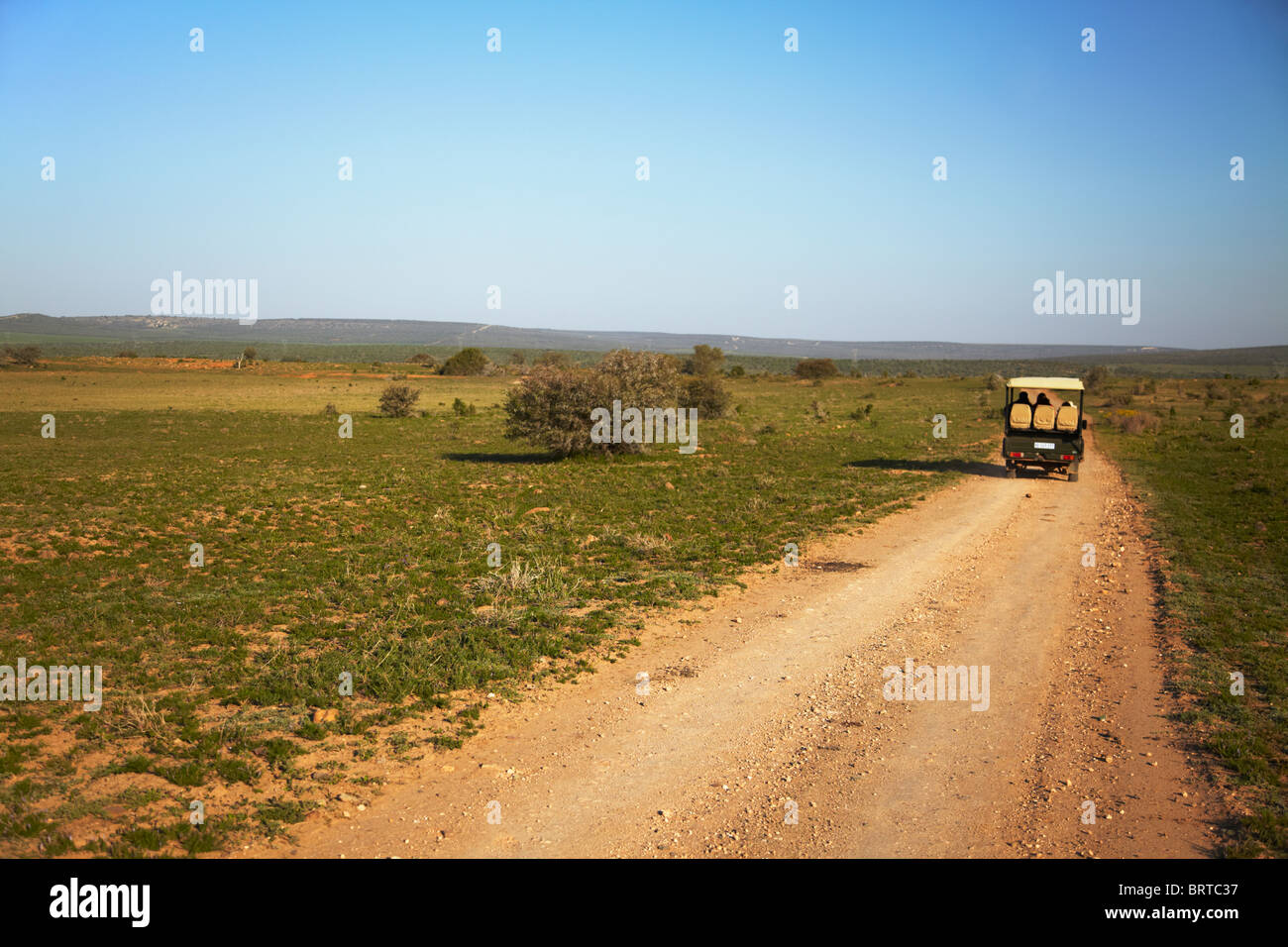 South africa safari people jeep hi-res stock photography and images - Alamy
