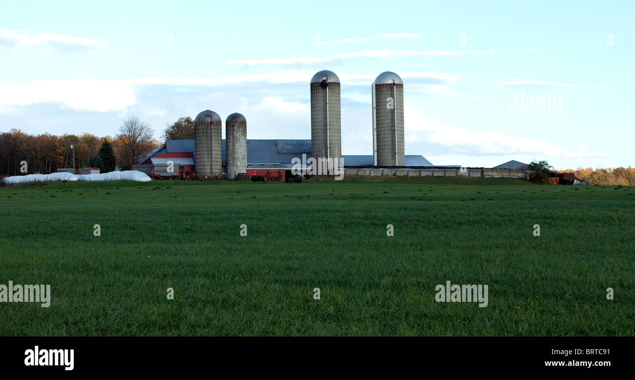 Four silos and a large barn on a hill Stock Photo - Alamy
