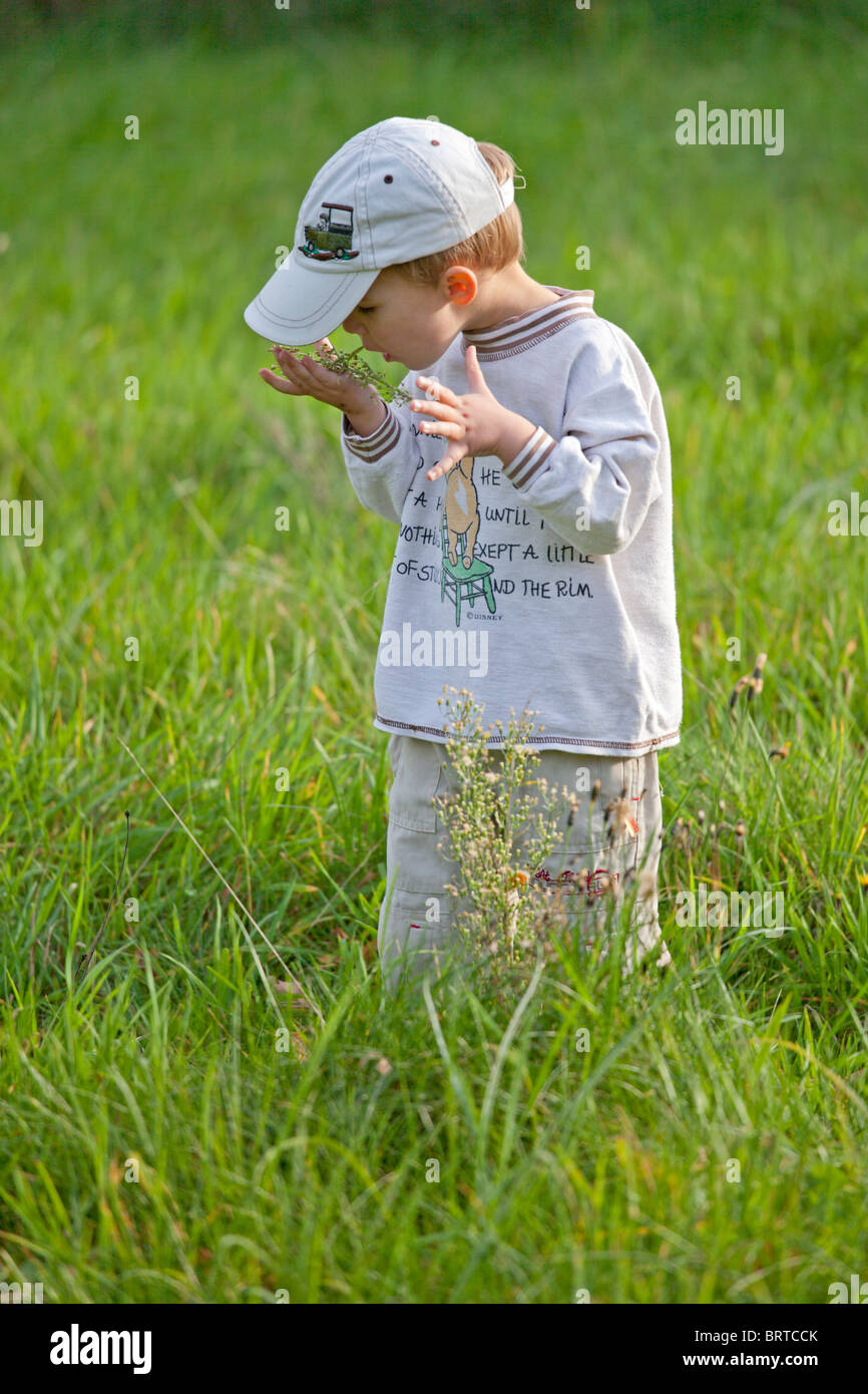 Child kid happy enjoying sniffing hi-res stock photography and images ...