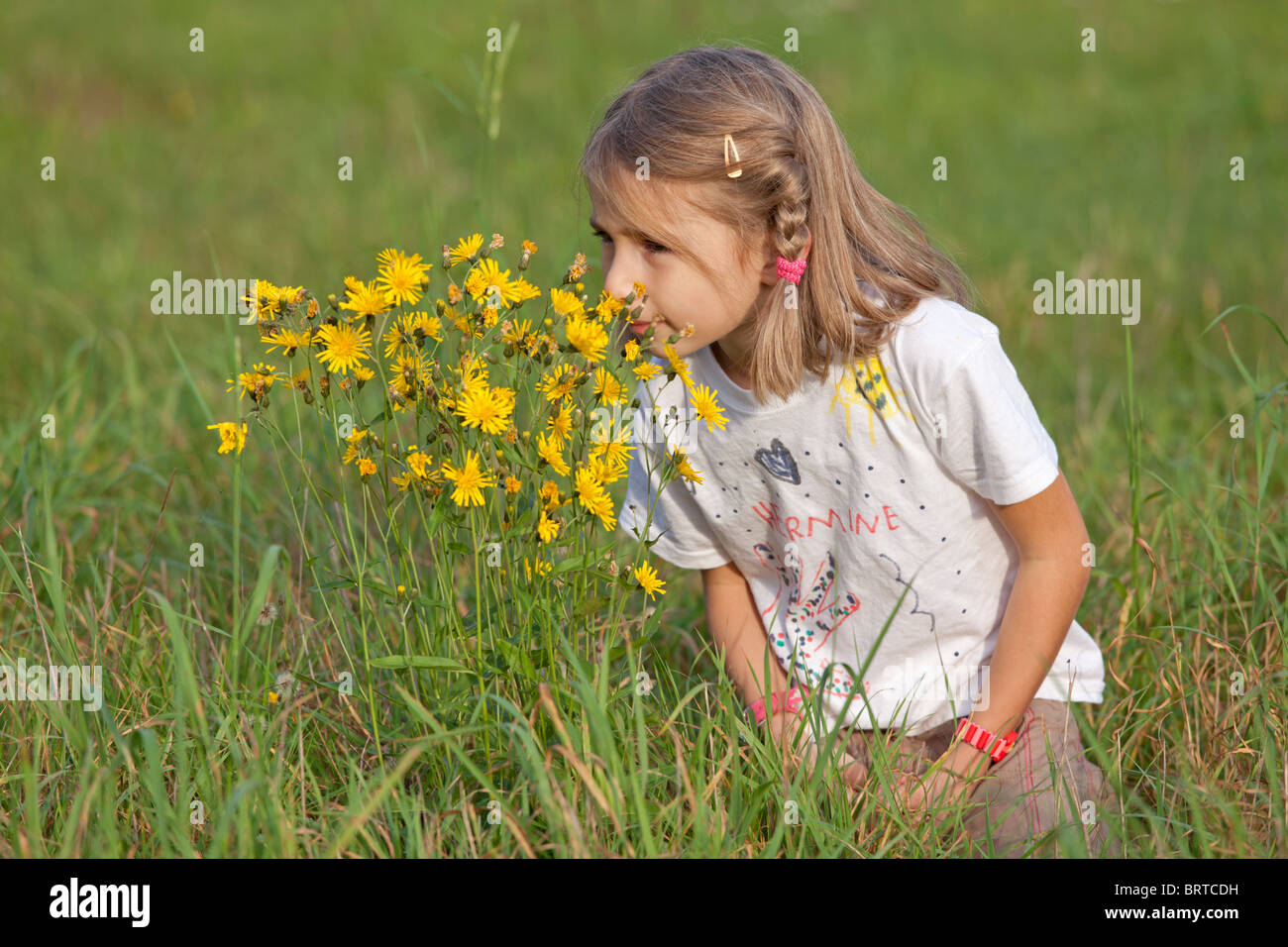 little girl sniffing flowers in a meadow Stock Photo - Alamy