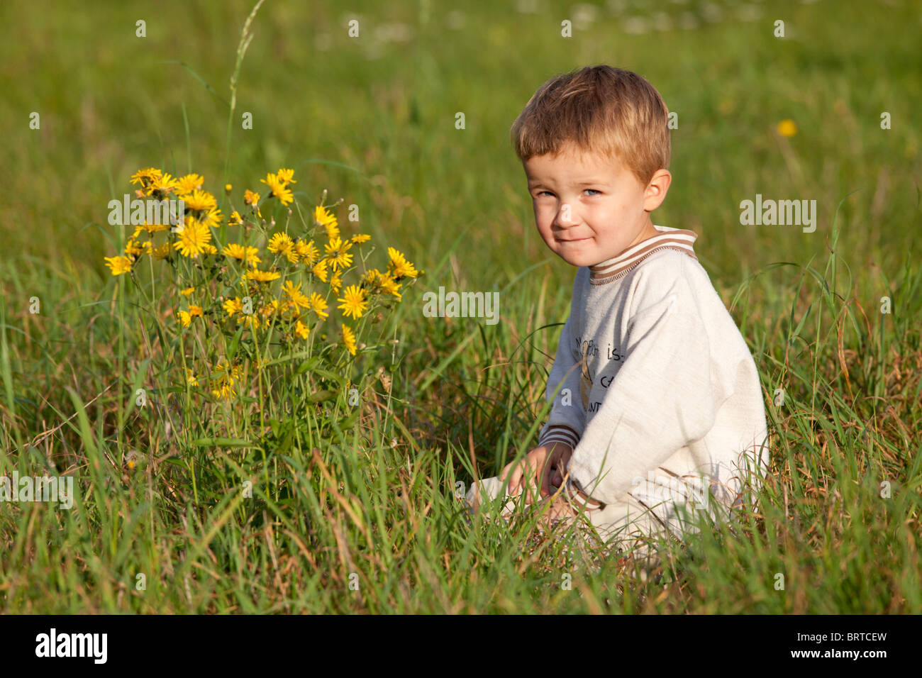 portrait of a little boy sitting in a flower meadow Stock Photo - Alamy