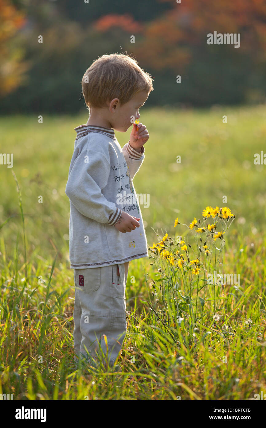 Boy sniffing flower hi-res stock photography and images - Alamy