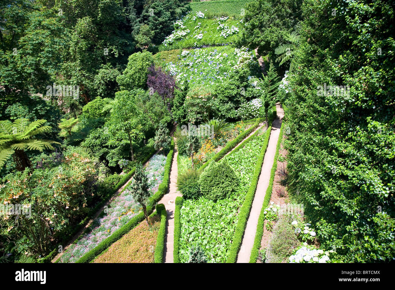 Municipal botanical gardens hi-res stock photography and images - Alamy