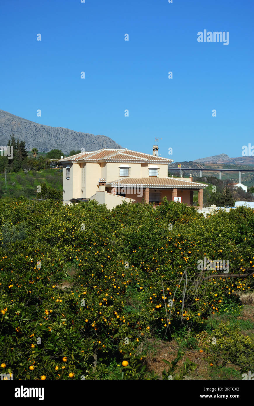 Malaga orange trees hi-res stock photography and images - Alamy