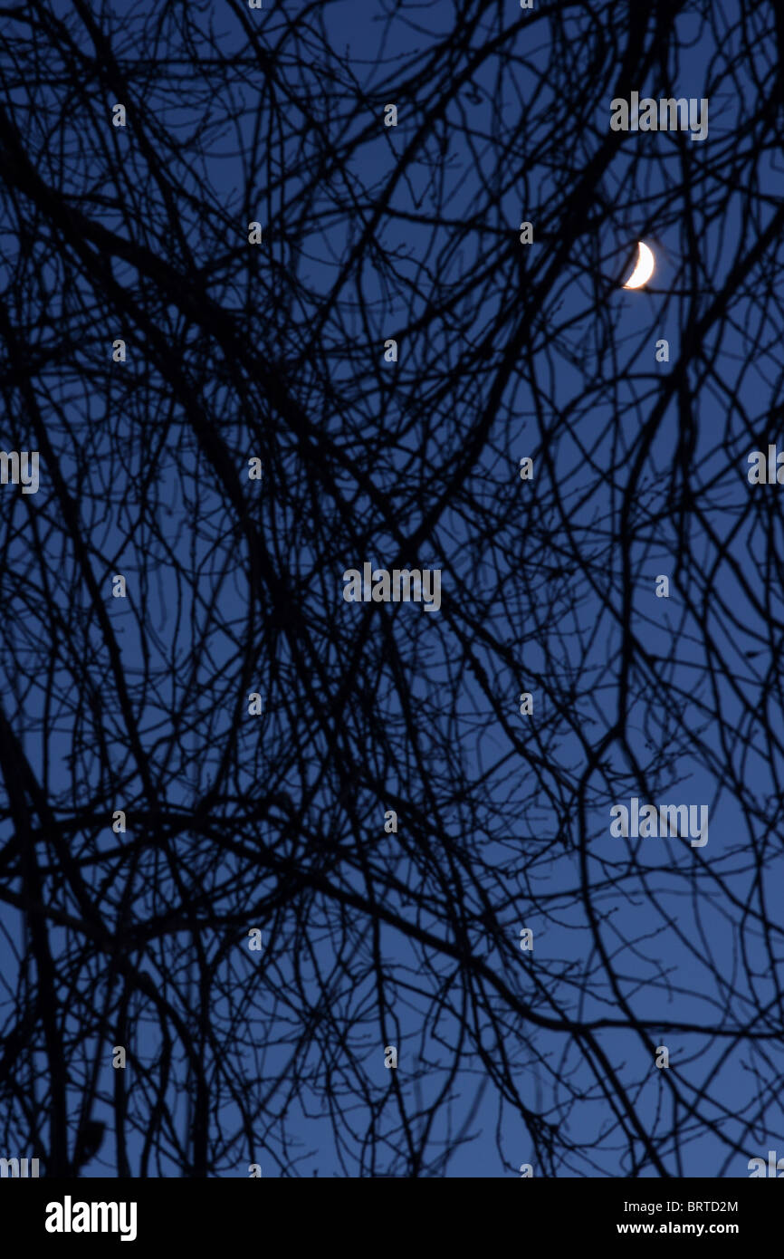 Karl moon hi-res stock photography and images - Alamy