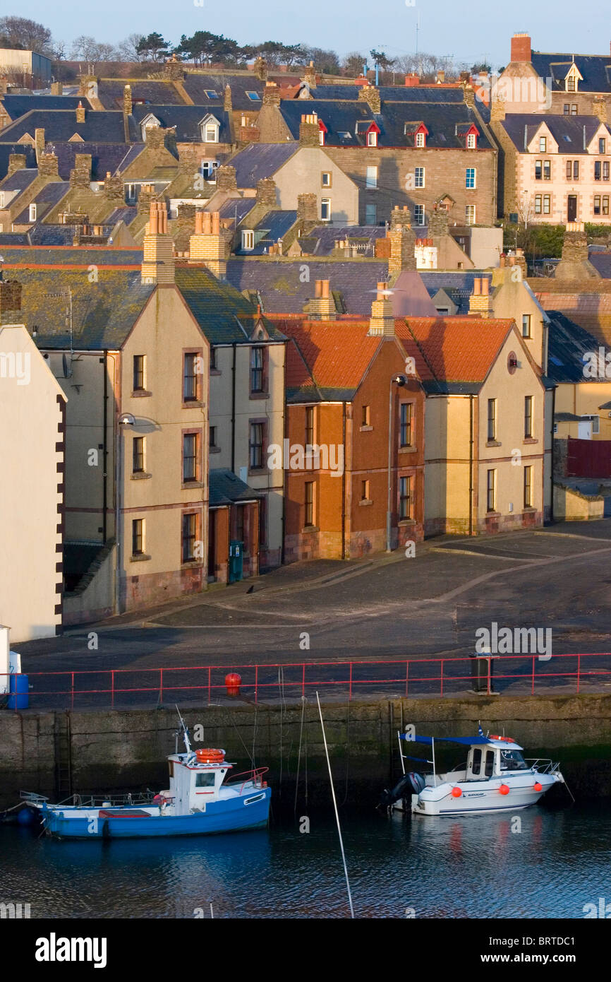 Port of Eyemouth, Scottish Borders in Scotland Stock Photo - Alamy