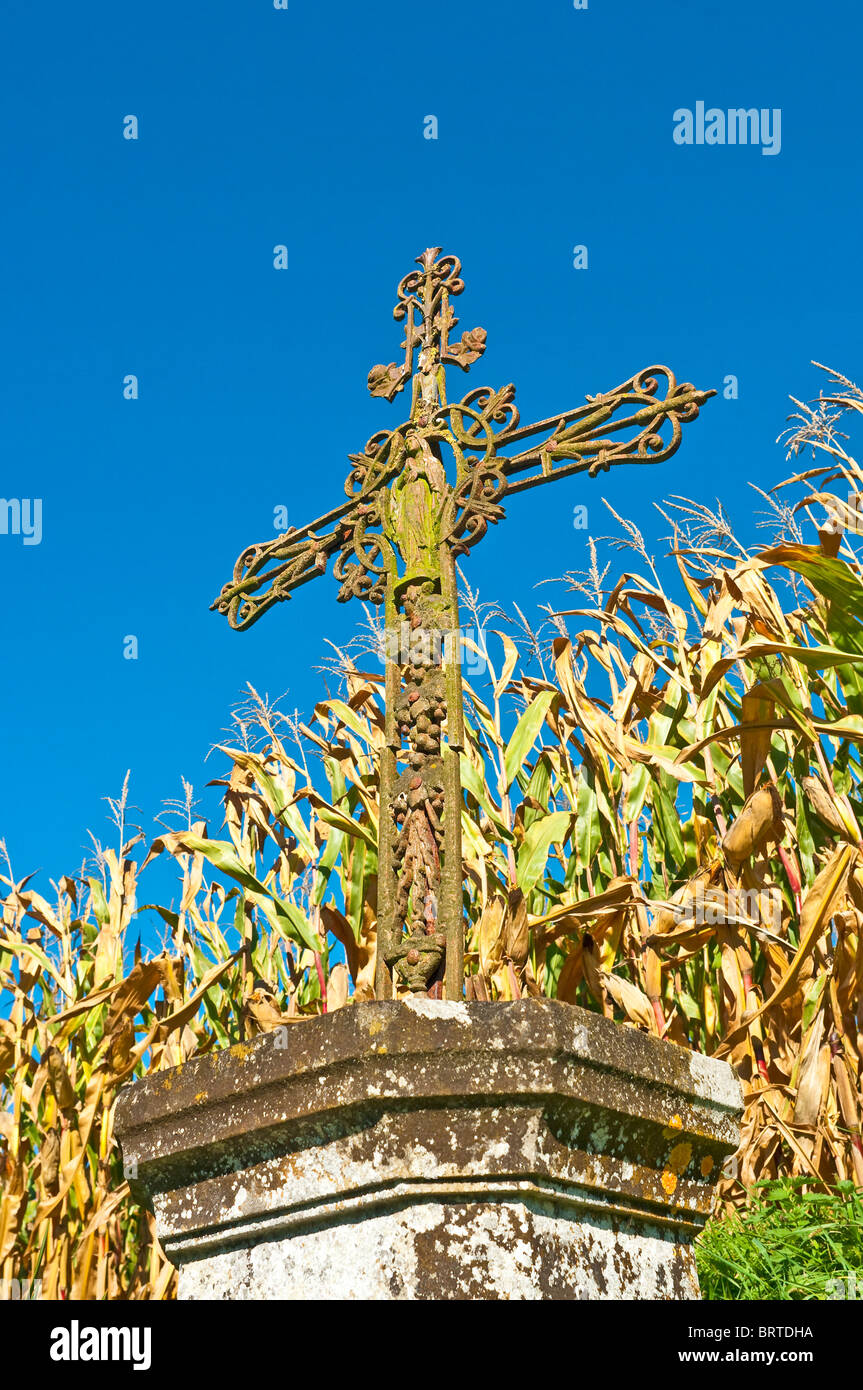 Decorative corn hi-res stock photography and images - Alamy