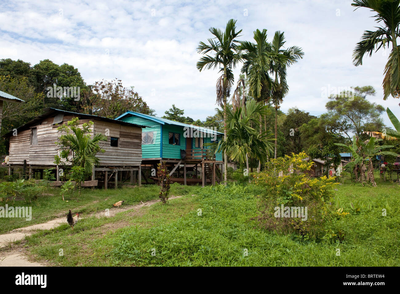 Penan tribe hi-res stock photography and images - Alamy