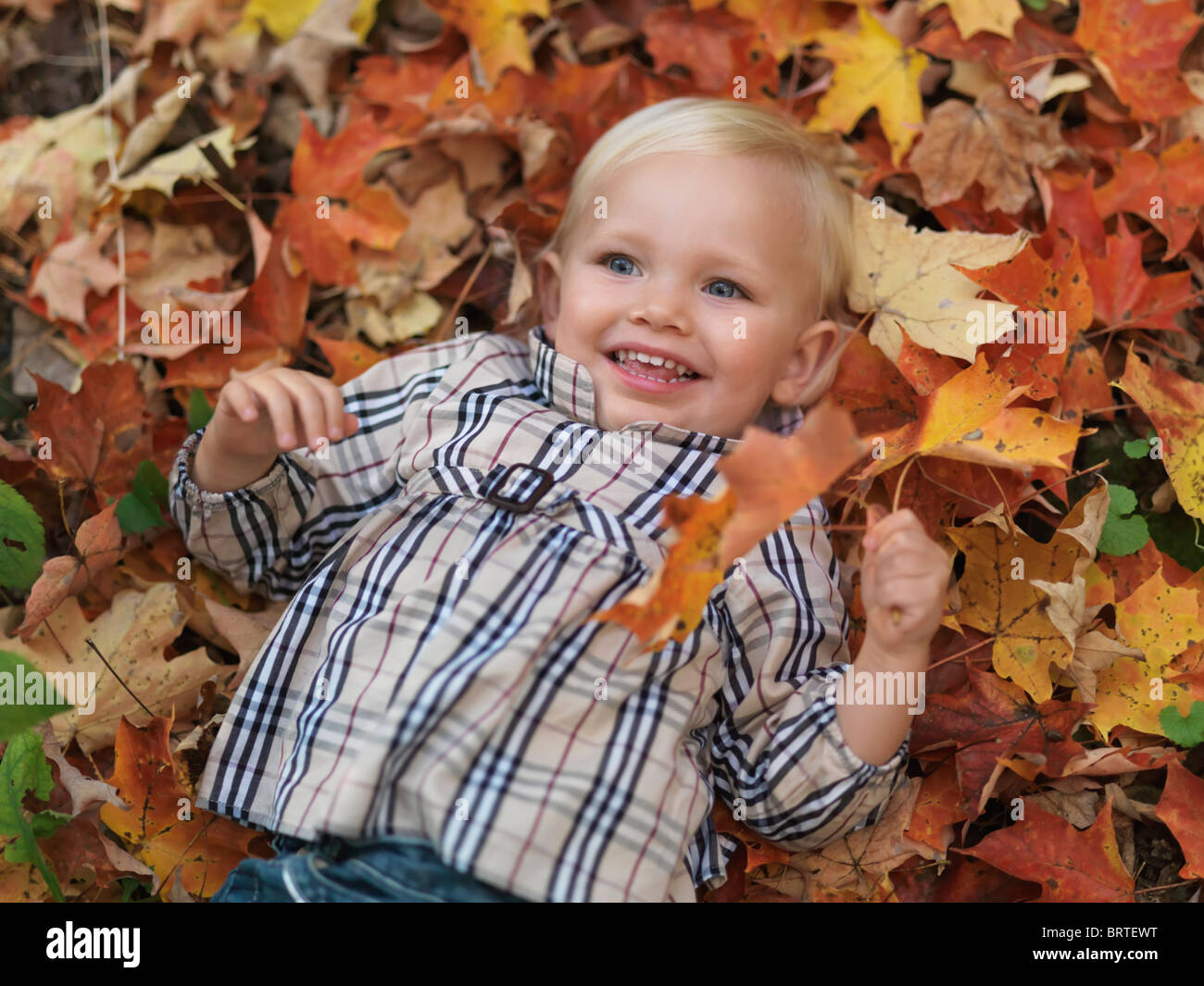 Happy two year old girl lying on fallen tree leaves in autumn nature ...