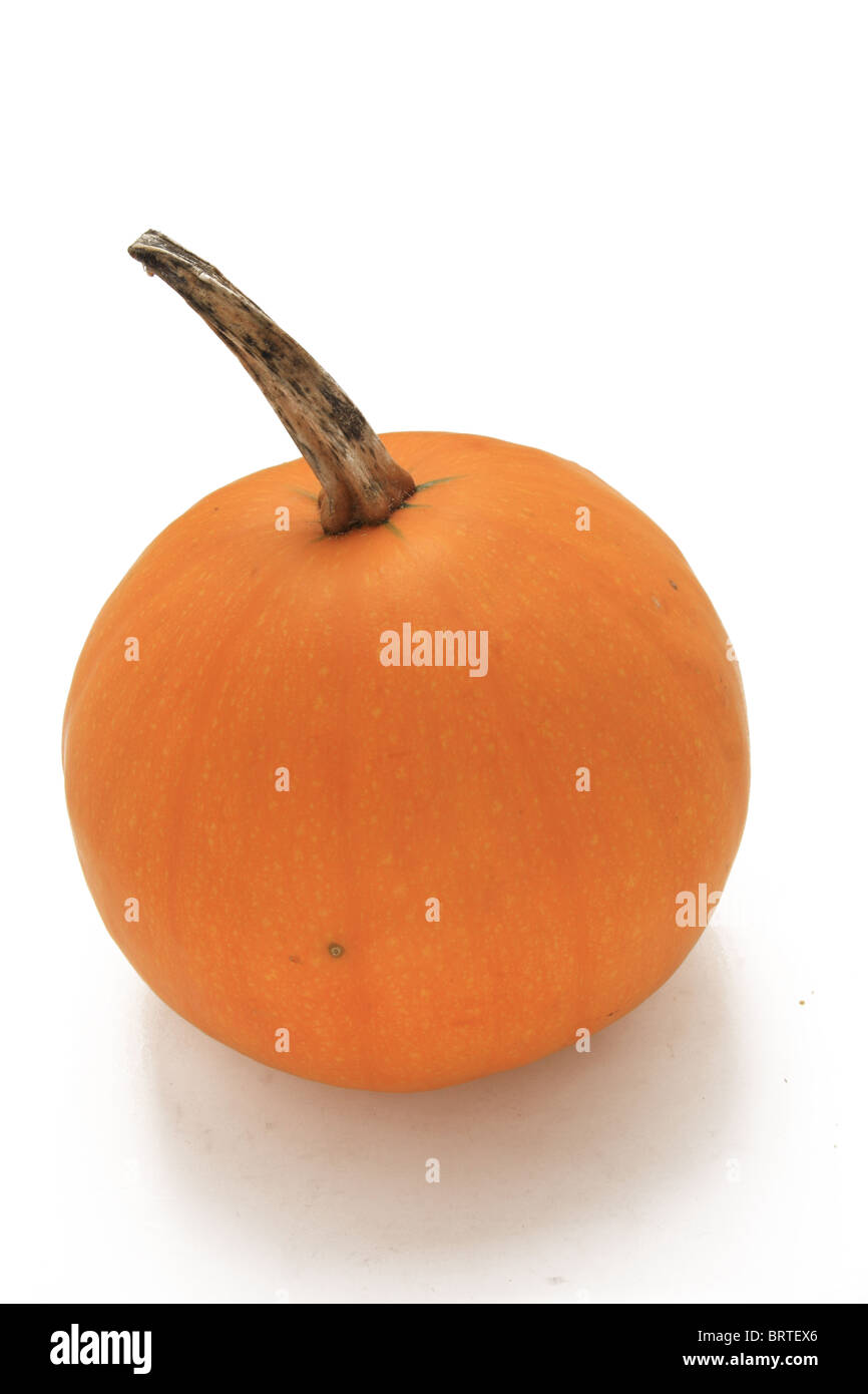 Pumpkin photos hi-res stock photography and images - Alamy