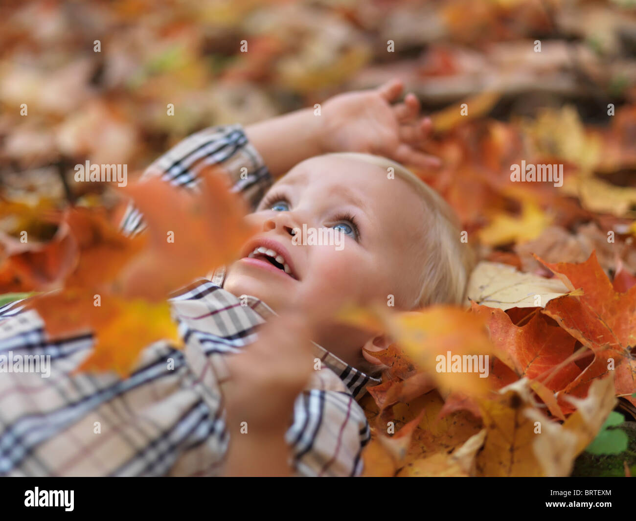 Child Looking At Ground Leaves High Resolution Stock Photography and ...