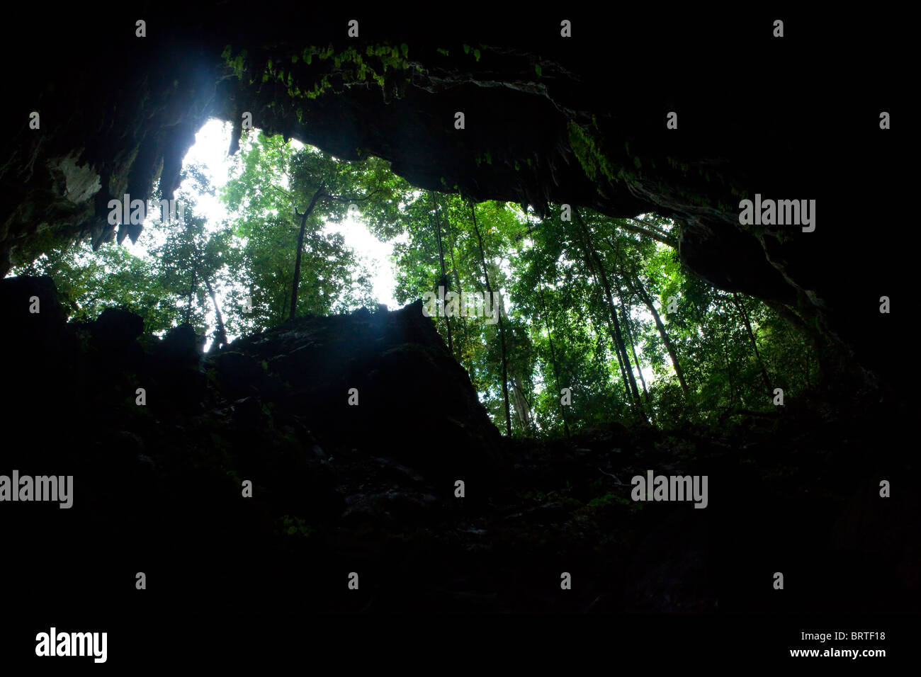 Light is seen through an opening in Clearwater cave in Mulu National ...