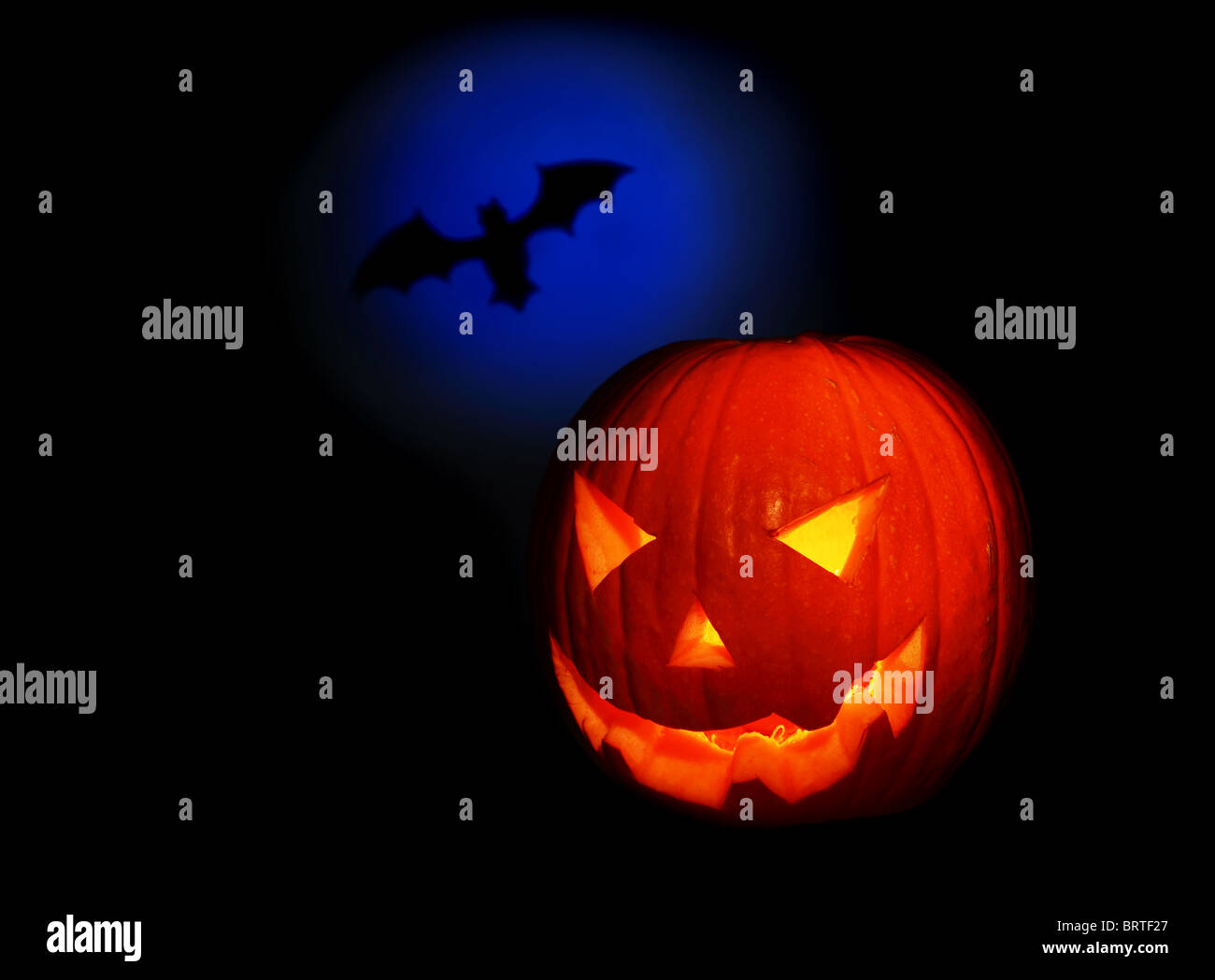 Halloween pumpkin and bat isolated on black background Stock Photo - Alamy