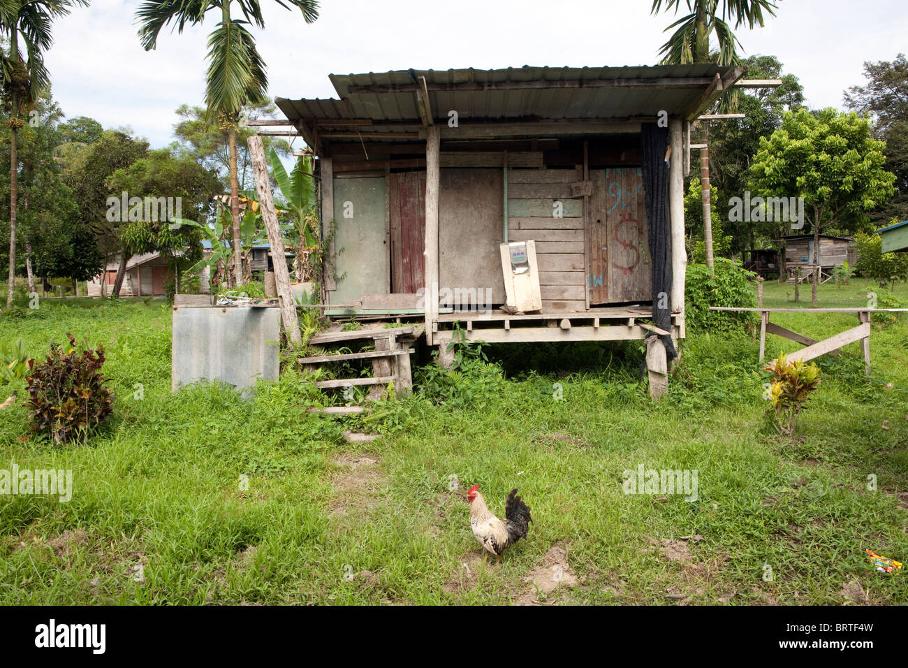 Penan High Resolution Stock Photography and Images - Alamy